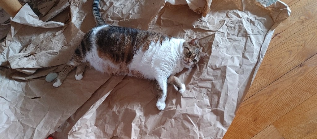 Revisit: Of Radio Engineers, Cat Crunchy Paper & Possible Spaceships ...